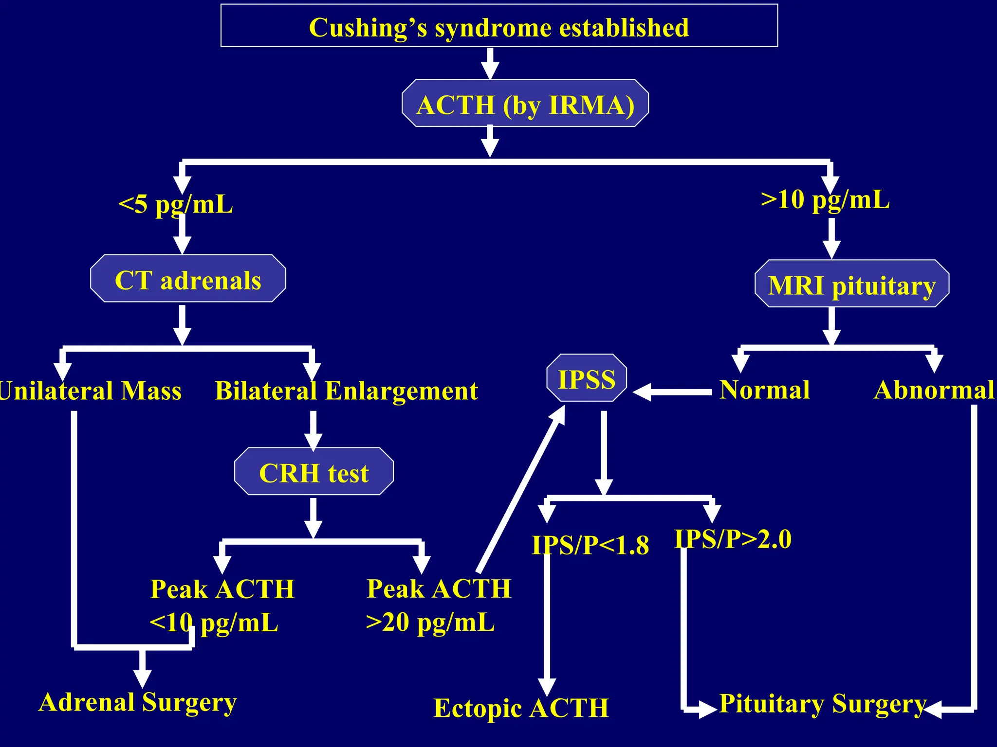L21-Cushing's syndrome.pptbdndnhgnfnfnvnj | PPT