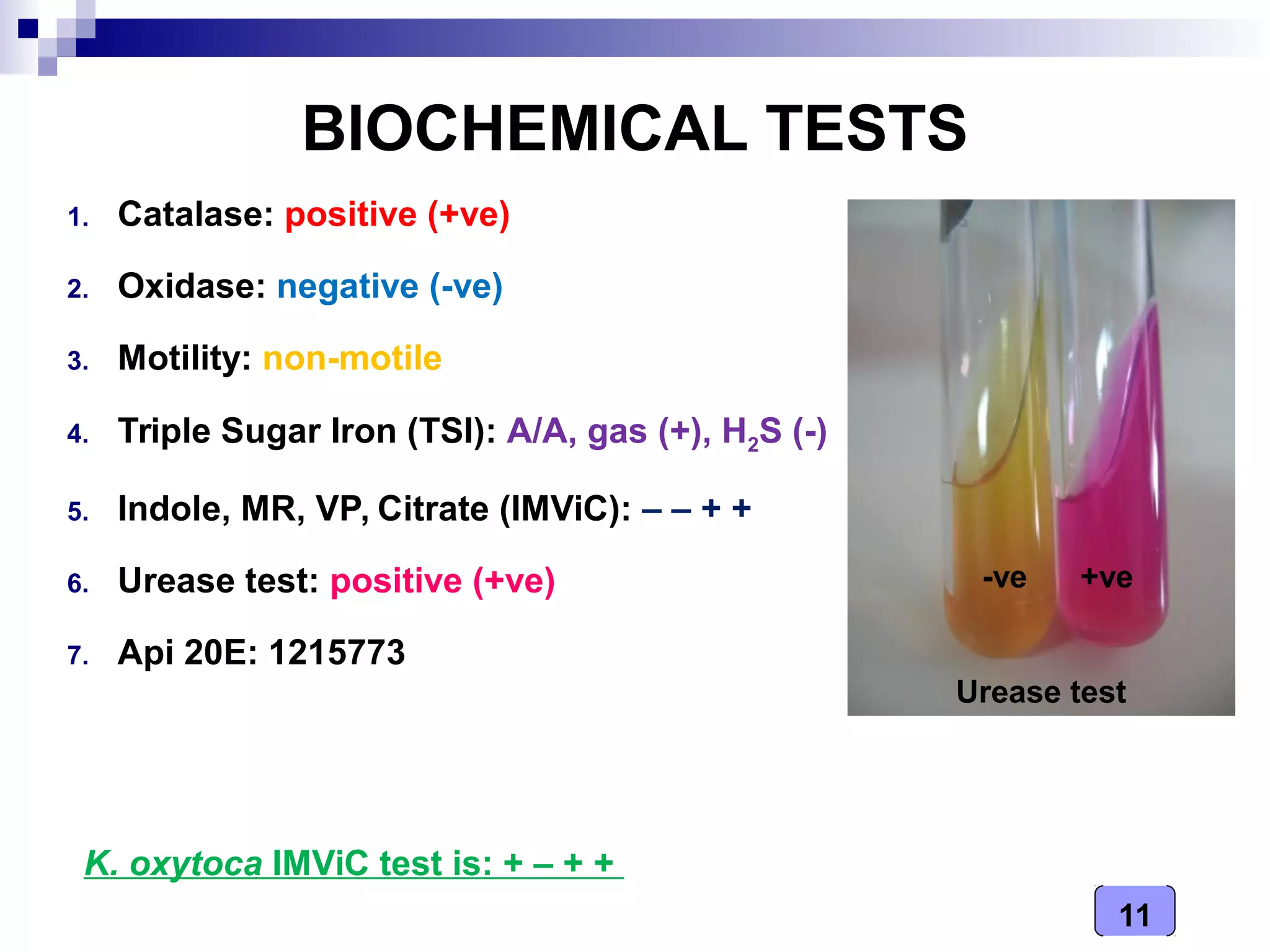 Medical Microbiology Laboratory (Enterobacteriaceae - II) | PDF