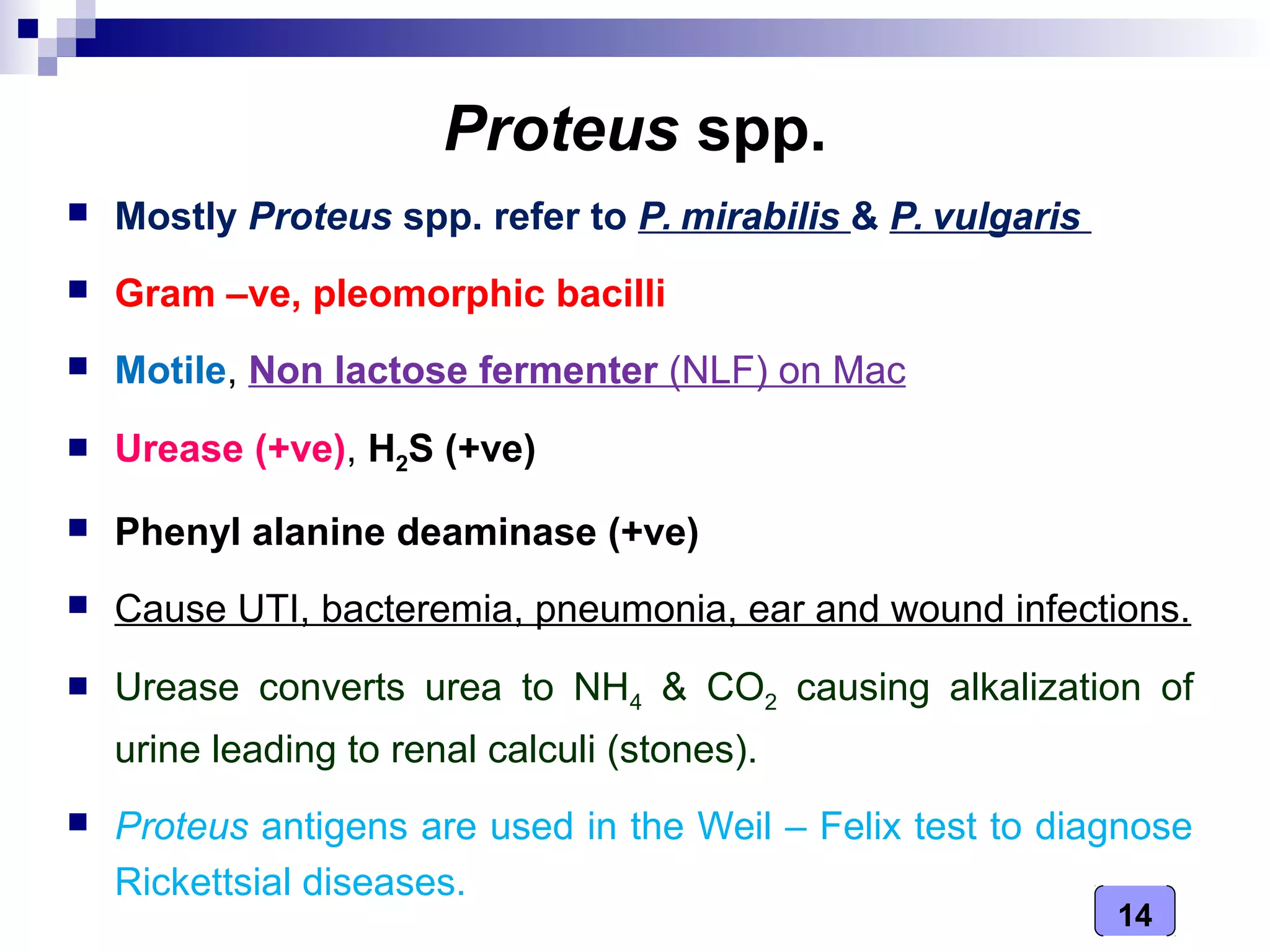Medical Microbiology Laboratory (Enterobacteriaceae - II) | PDF