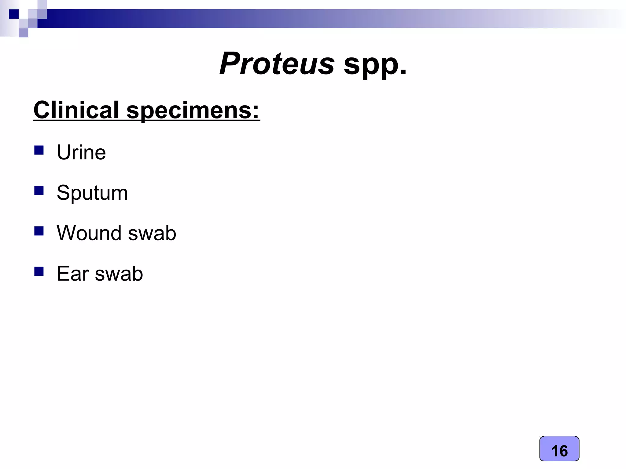 Medical Microbiology Laboratory (Enterobacteriaceae - II) | PDF