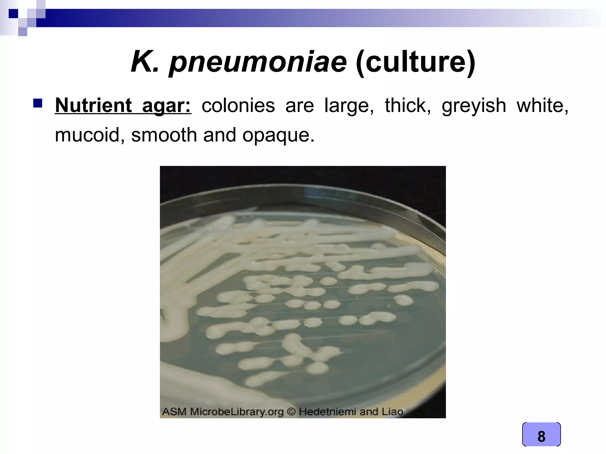 Medical Microbiology Laboratory (Enterobacteriaceae - II) | PDF
