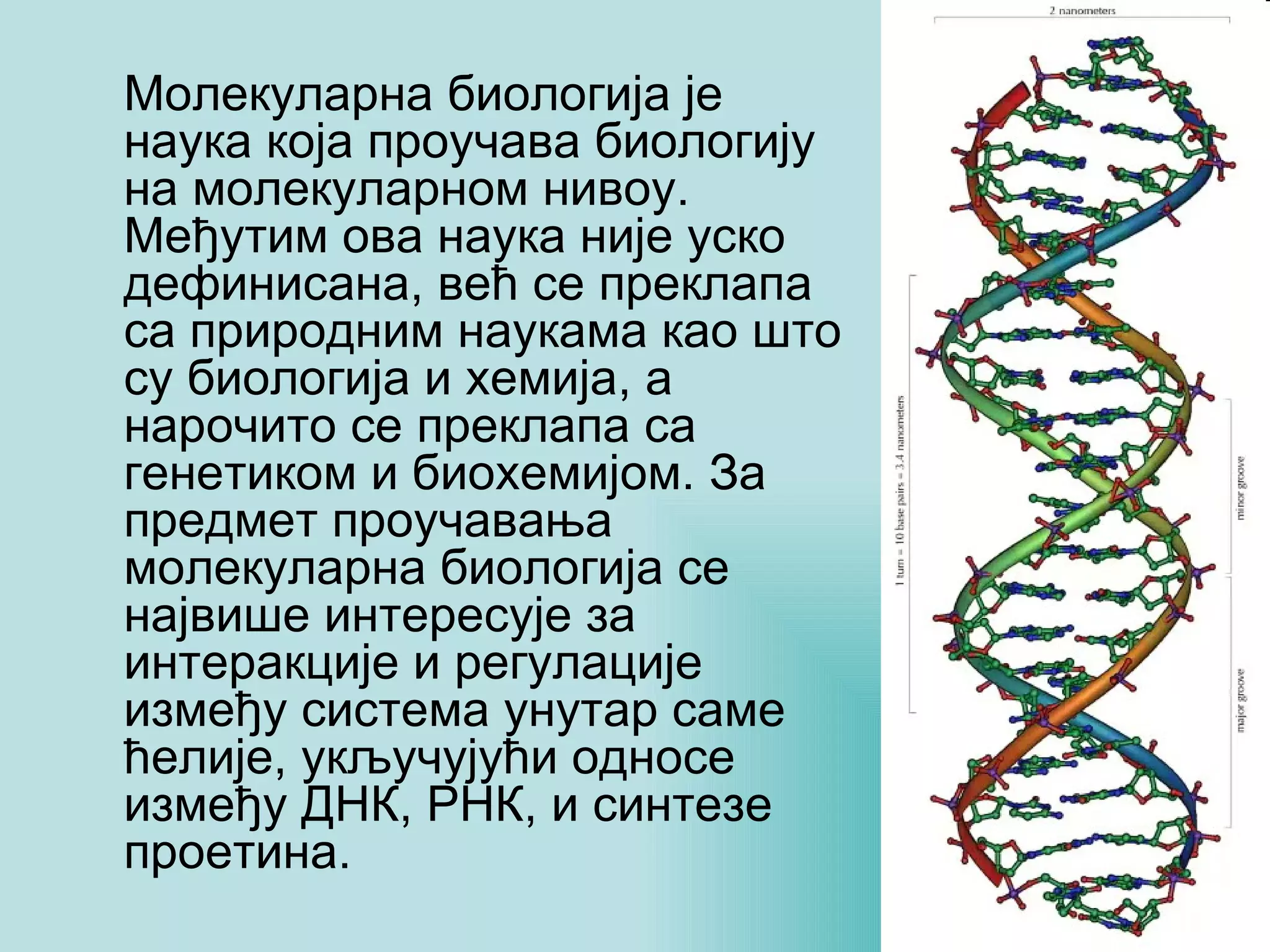 L218 - Biologija - Molekularna biologija - Katarina Petrović - Danijela Veljković | PPT