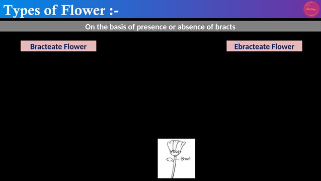 L21PG.pptxmorphology of flowering plants | PPTX