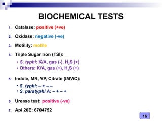 Medical Microbiology Laboratory (Enterobacteriaceae - III) | PPT