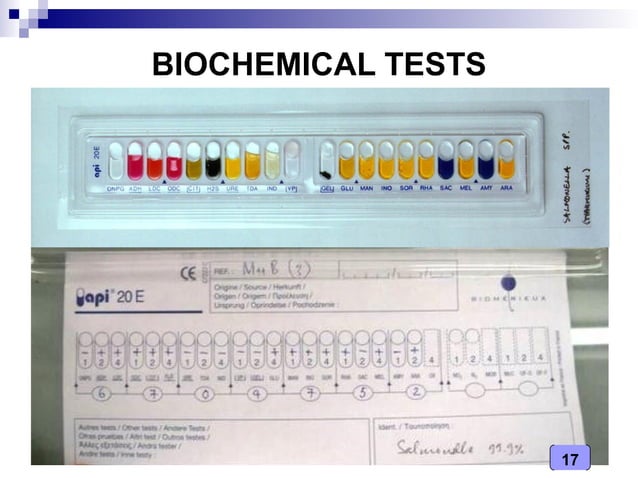 Medical Microbiology Laboratory (Enterobacteriaceae - III) | PPT