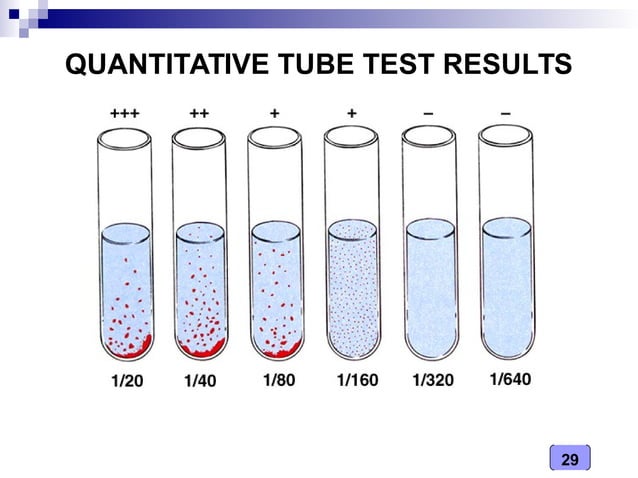 Medical Microbiology Laboratory (Enterobacteriaceae - III) | PPT