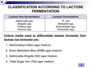 Medical Microbiology Laboratory (Enterobacteriaceae - III) | PPT