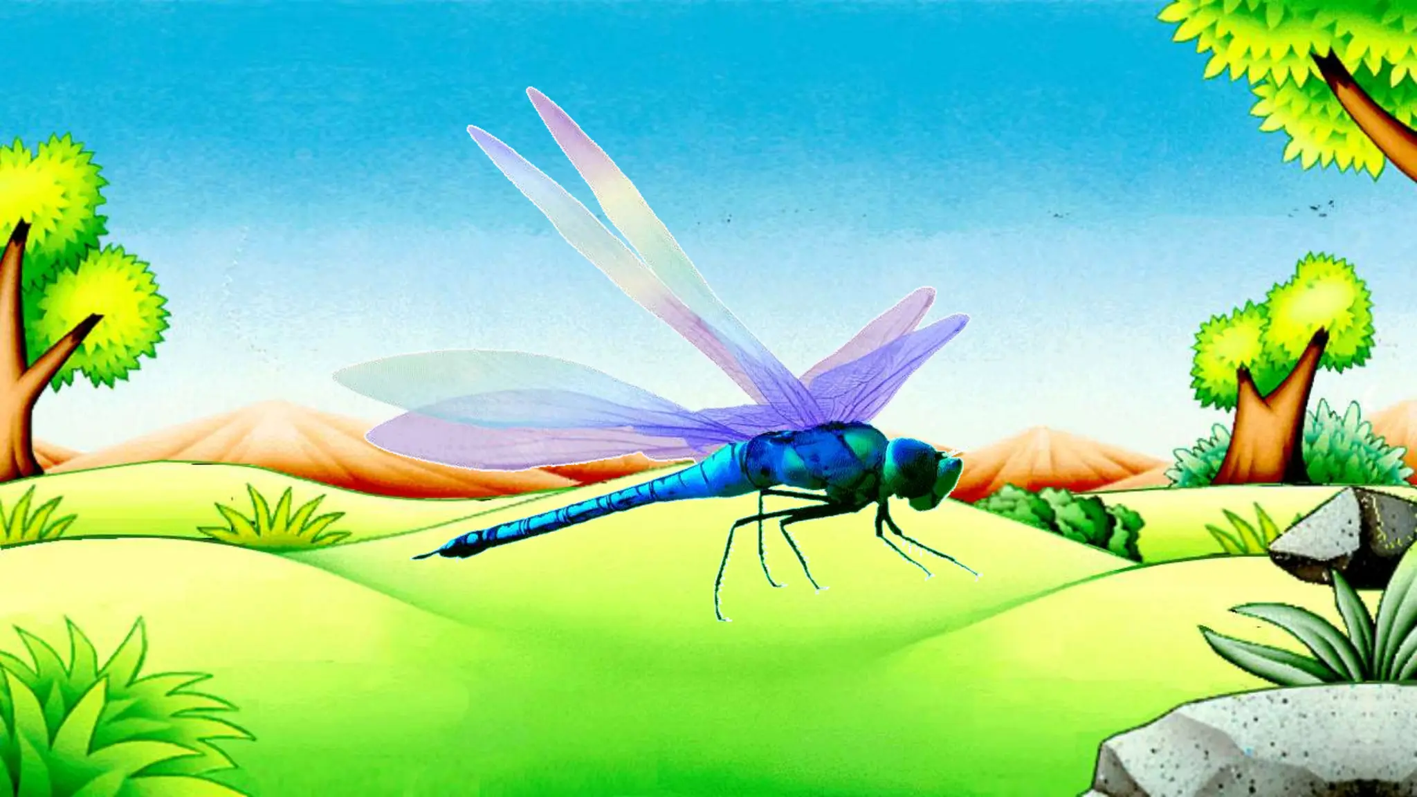 Kinder Science Lesson Animal Movements.ppt