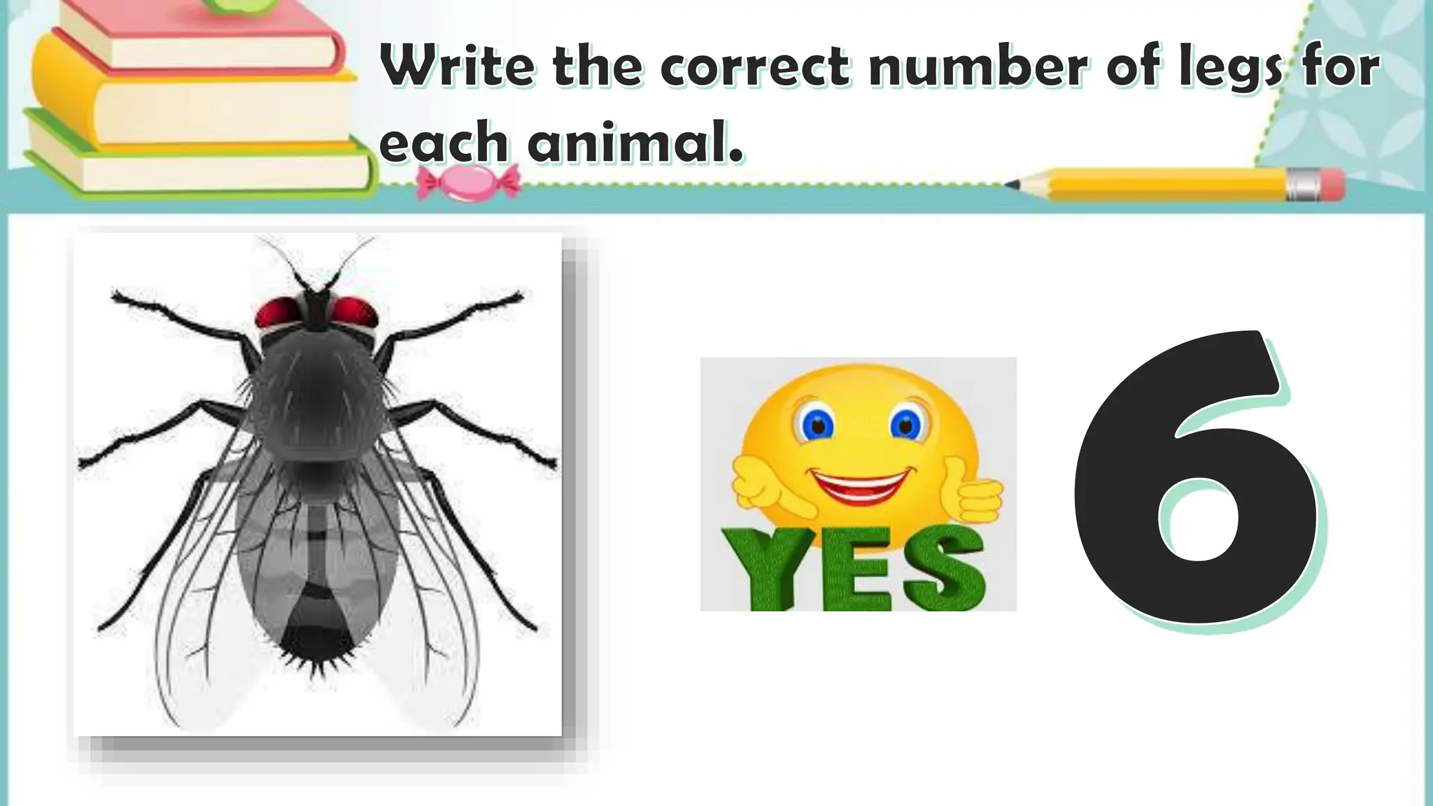 Kinder Science Lesson Animal Movements.ppt