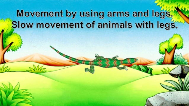 Kinder Science Lesson Animal Movements.ppt