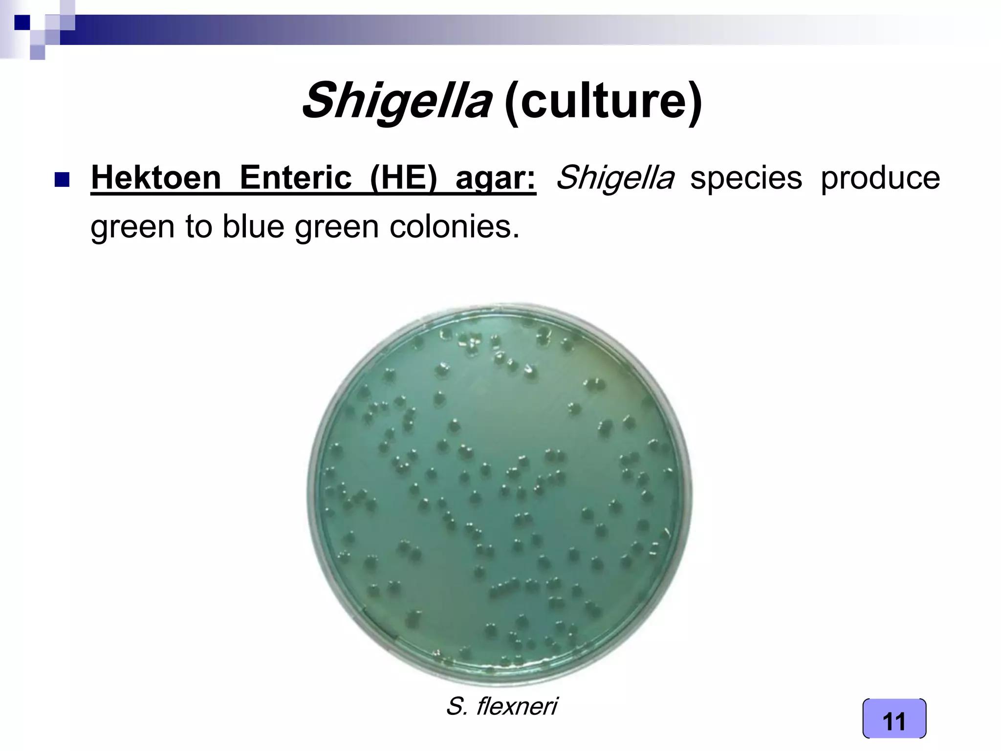 Medical Microbiology Laboratory (Enterobacteriaceae - IV) | PPT