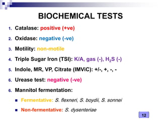 Medical Microbiology Laboratory (Enterobacteriaceae - IV) | PPT