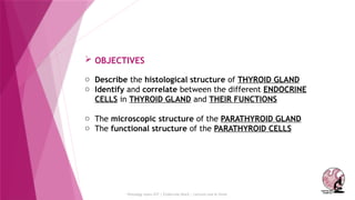 L2,3- Thyroid and parathyroid glands.pptx