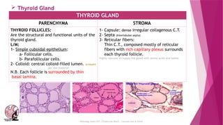 L2,3- Thyroid and parathyroid glands.pptx