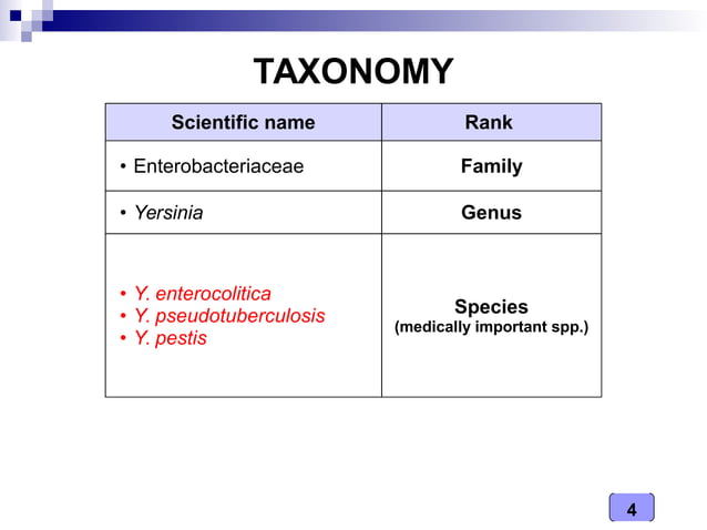 Medical Microbiology Laboratory (Enterobacteriaceae - V) | PPT | Free ...