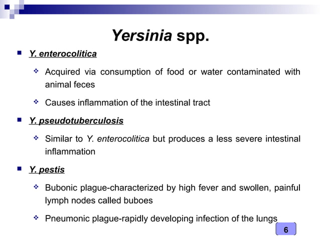 Medical Microbiology Laboratory (Enterobacteriaceae - V) | PPT