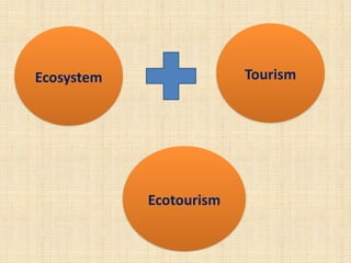 Ecotourism: concept, objectives and importance | PPT
