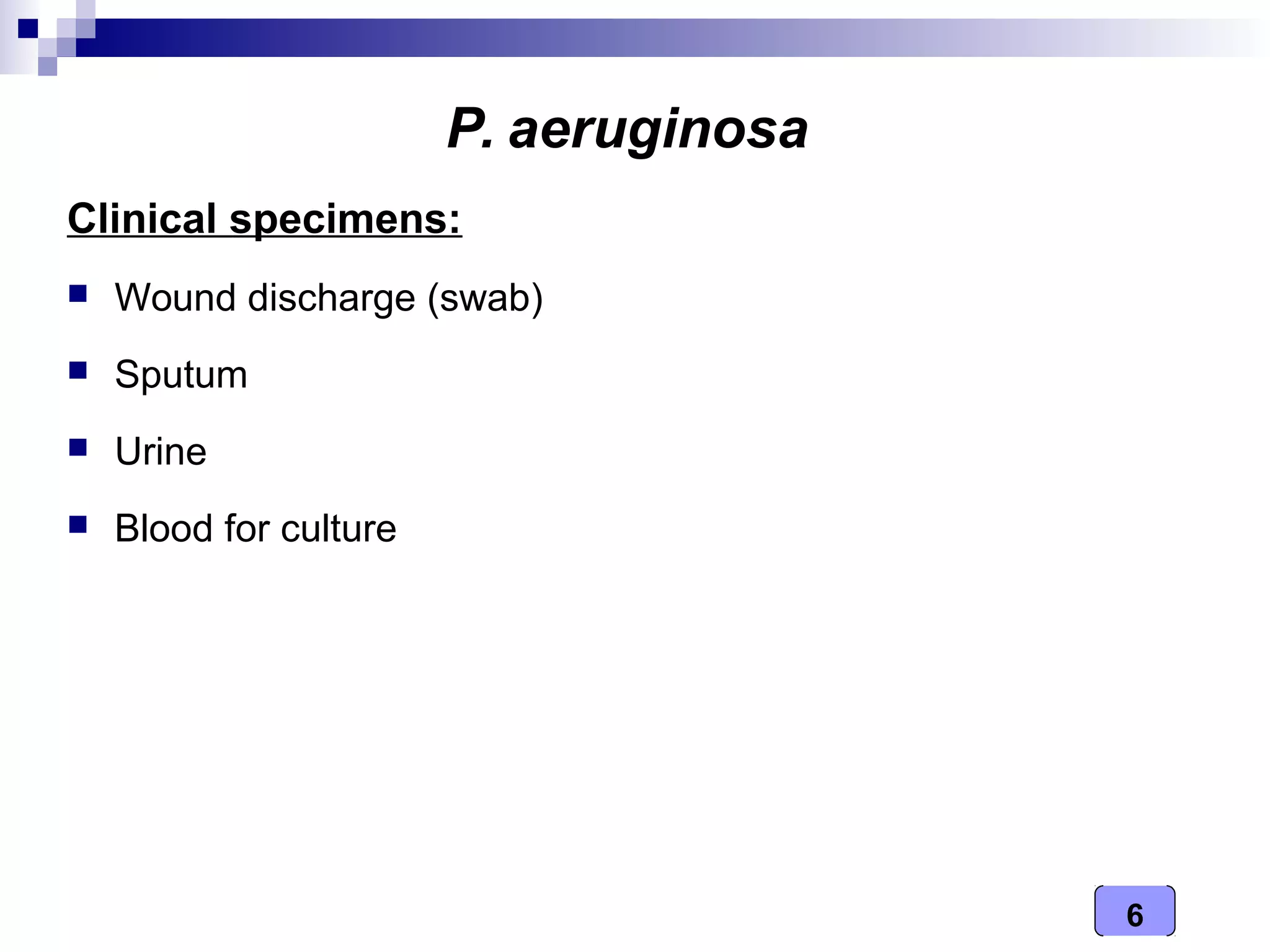 Medical Microbiology Laboratory (Pseudomonas spp.) | PDF