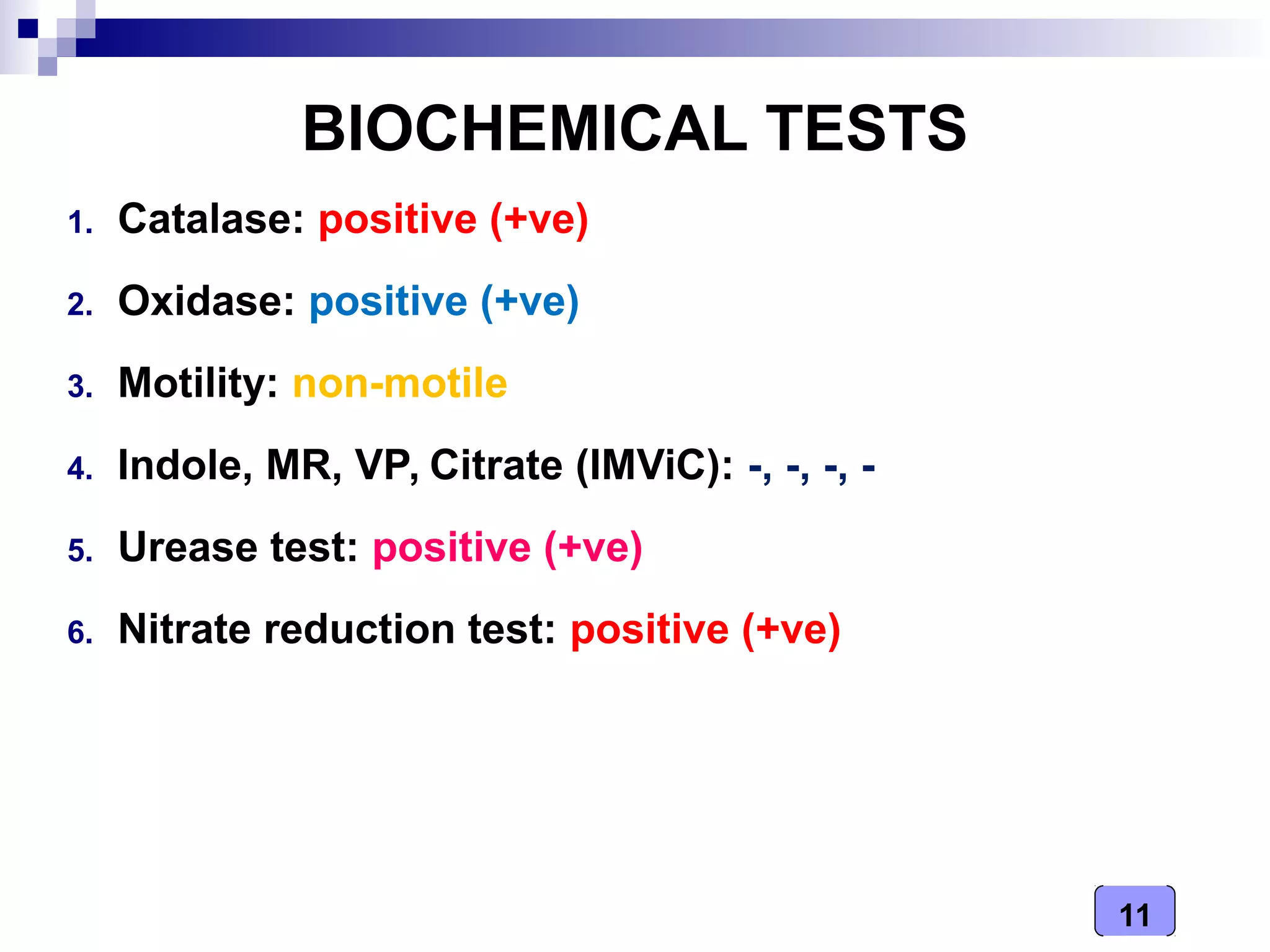 Medical Microbiology Laboratory (Brucella spp.) | PDF