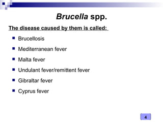 Medical Microbiology Laboratory (Brucella spp.) | PDF