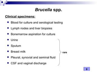 Medical Microbiology Laboratory (Brucella spp.) | PDF