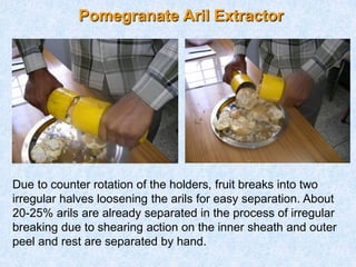 Ppt fruit pomeg_postharvest_ciphet | PDF