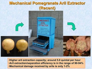 Ppt fruit pomeg_postharvest_ciphet | PDF