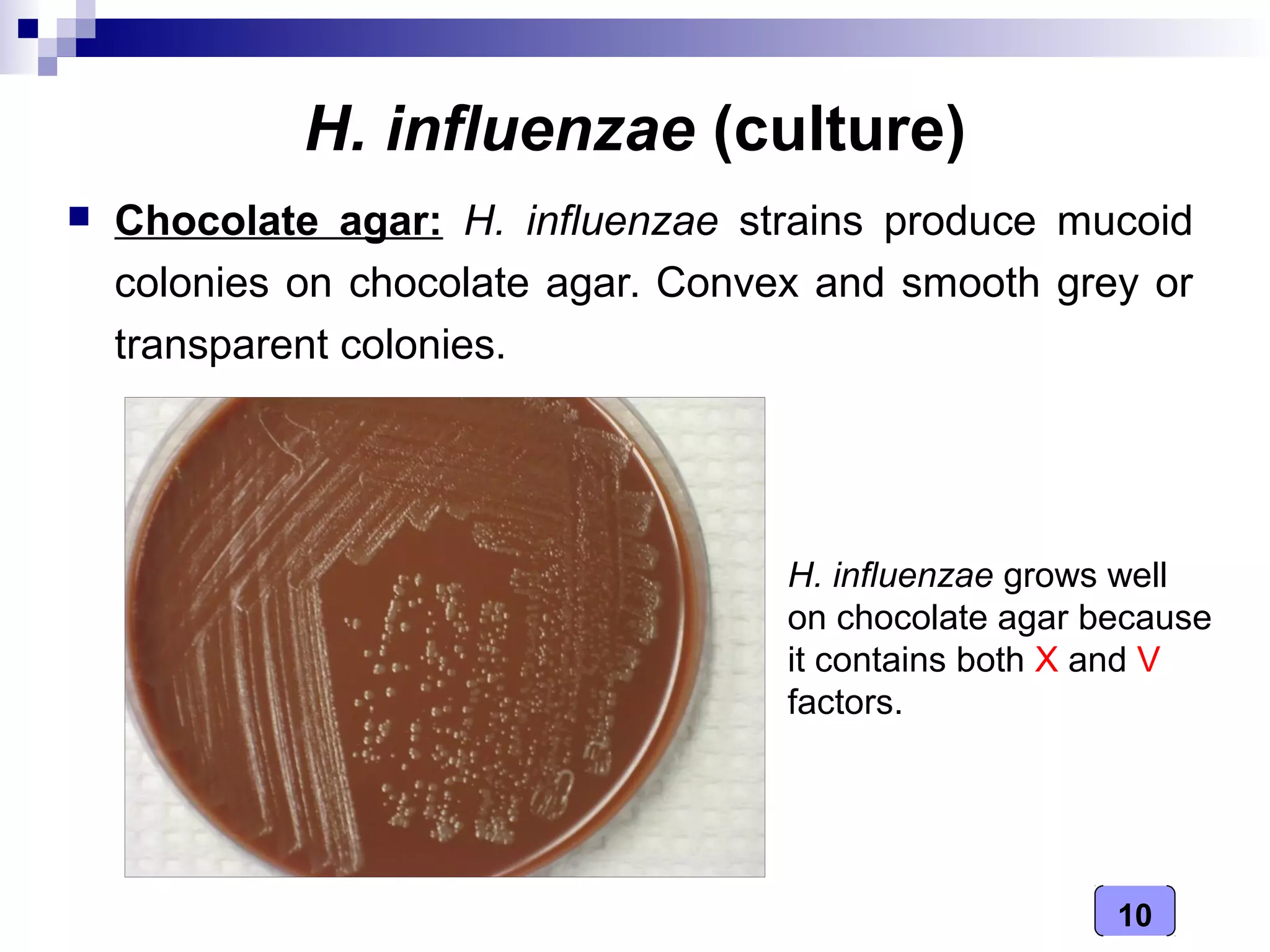 L27 - Medical Microbiology Laboratory (Haemophilus spp.) | PDF