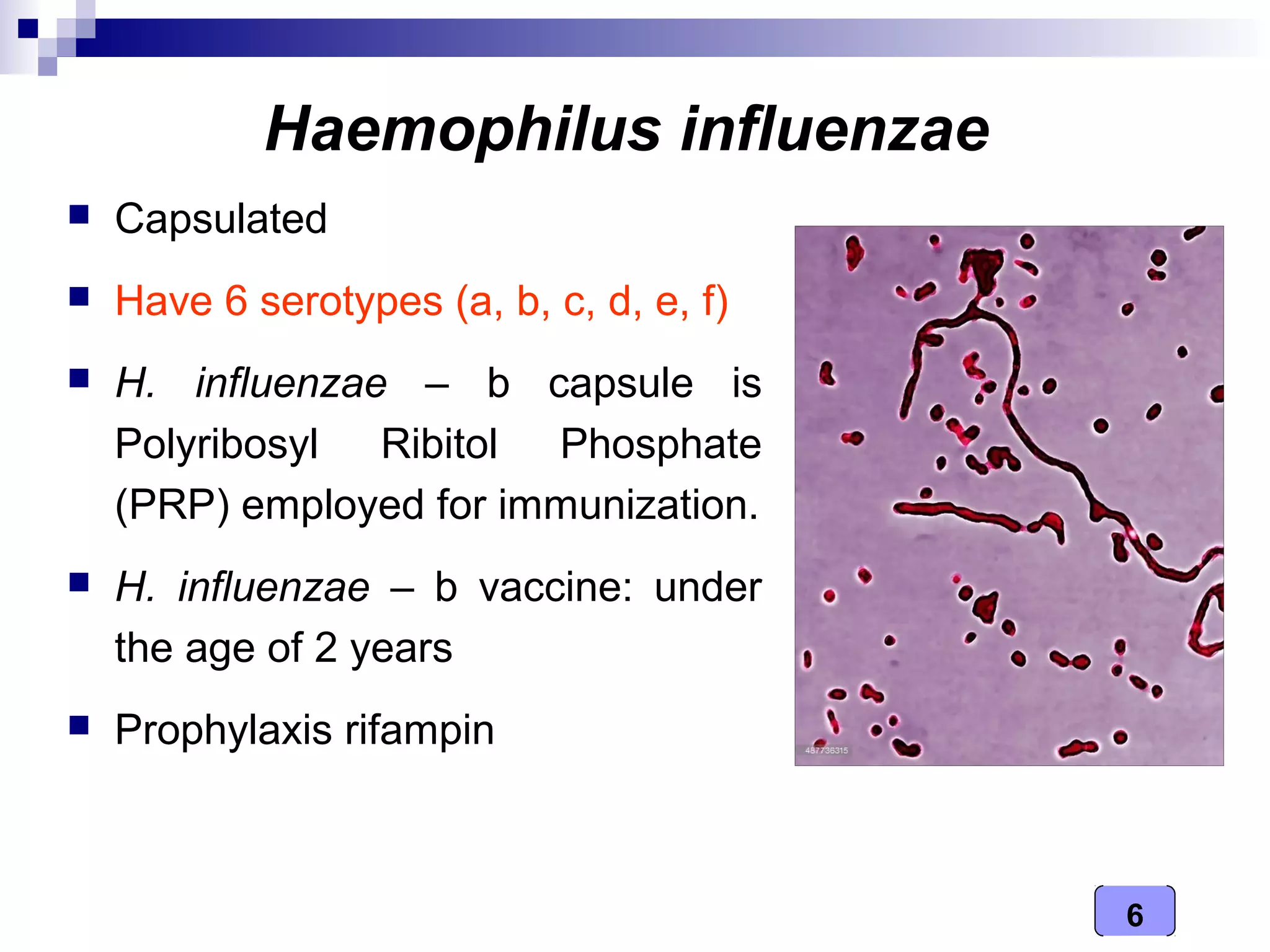 L27 - Medical Microbiology Laboratory (Haemophilus spp.) | PDF