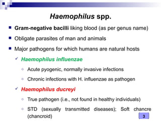 L27 - Medical Microbiology Laboratory (Haemophilus spp.) | PDF