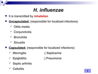 L27 - Medical Microbiology Laboratory (Haemophilus spp.) | PDF