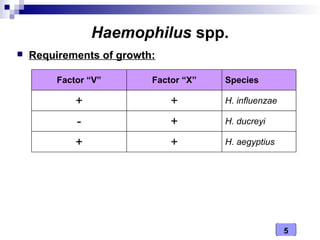 L27 - Medical Microbiology Laboratory (Haemophilus spp.)