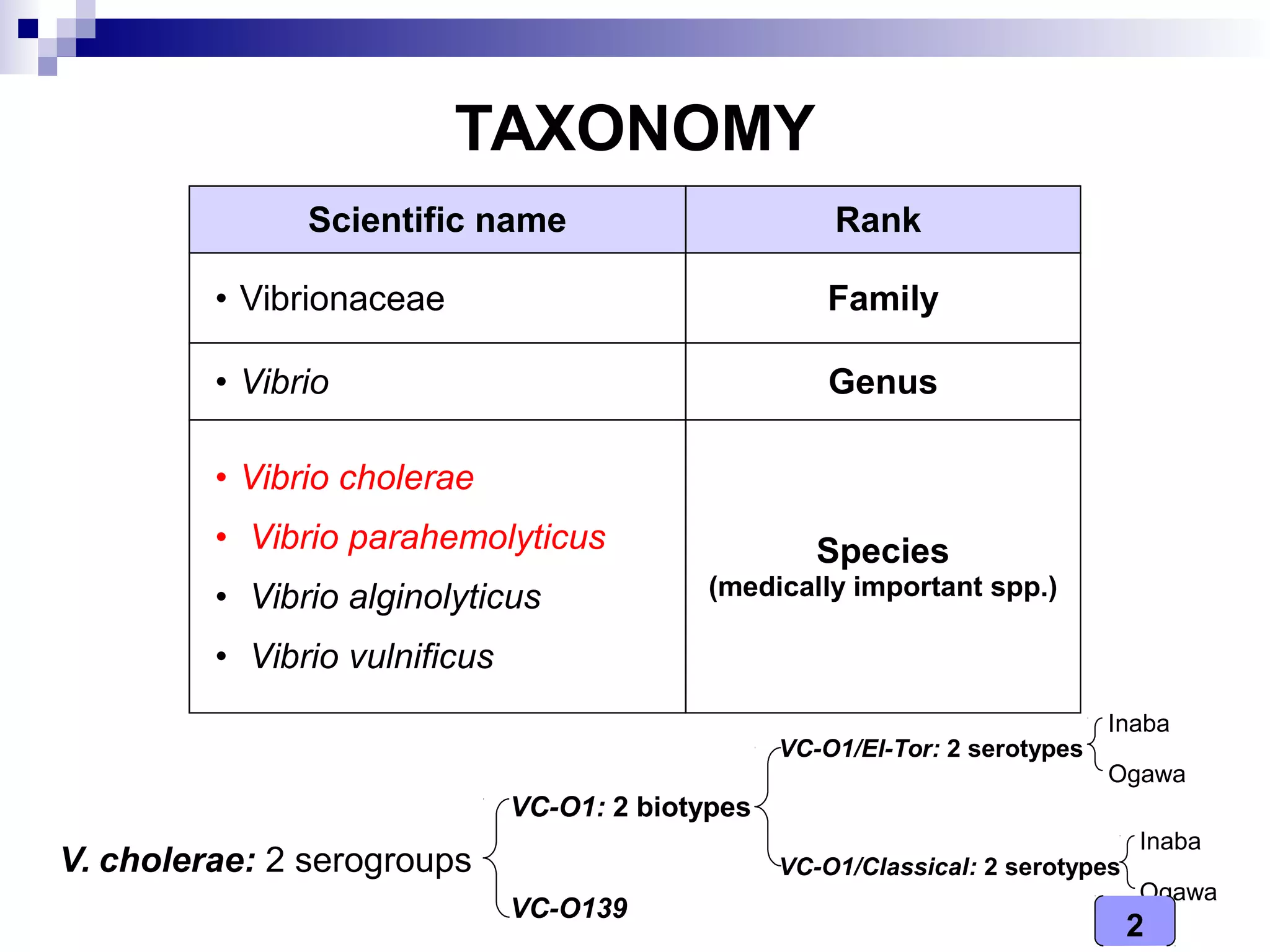 Medical Microbiology Laboratory (Vibrio spp.) | PDF