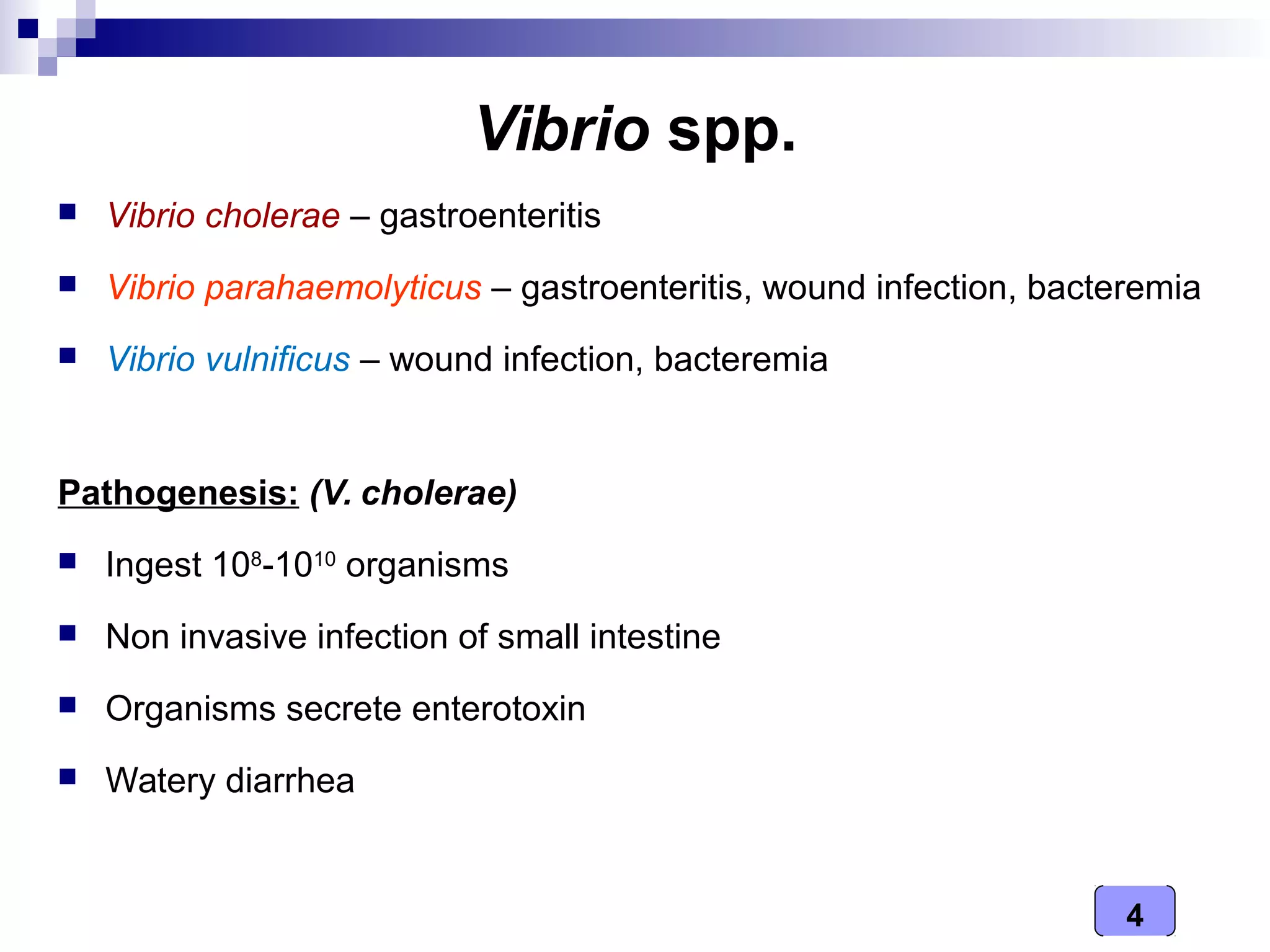 Medical Microbiology Laboratory (Vibrio spp.) | PDF
