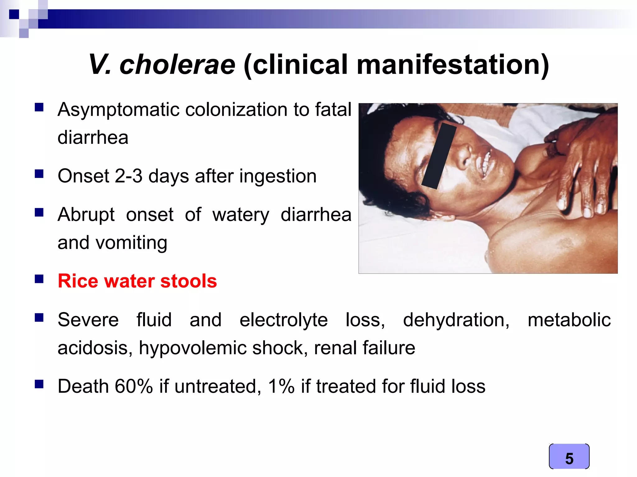 Medical Microbiology Laboratory (Vibrio spp.) | PDF