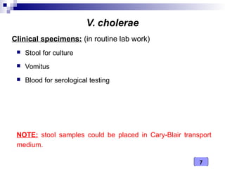 Medical Microbiology Laboratory (Vibrio spp.) | PDF