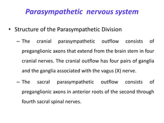 Autonomic nervous system | PPTX
