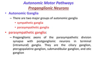 Autonomic nervous system | PPTX