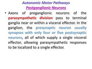 Autonomic nervous system | PPTX