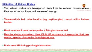 L28 Metabolism of Ketone Bodies_f41a493626de6195c0cb533ca8ff7214 (1).pptx