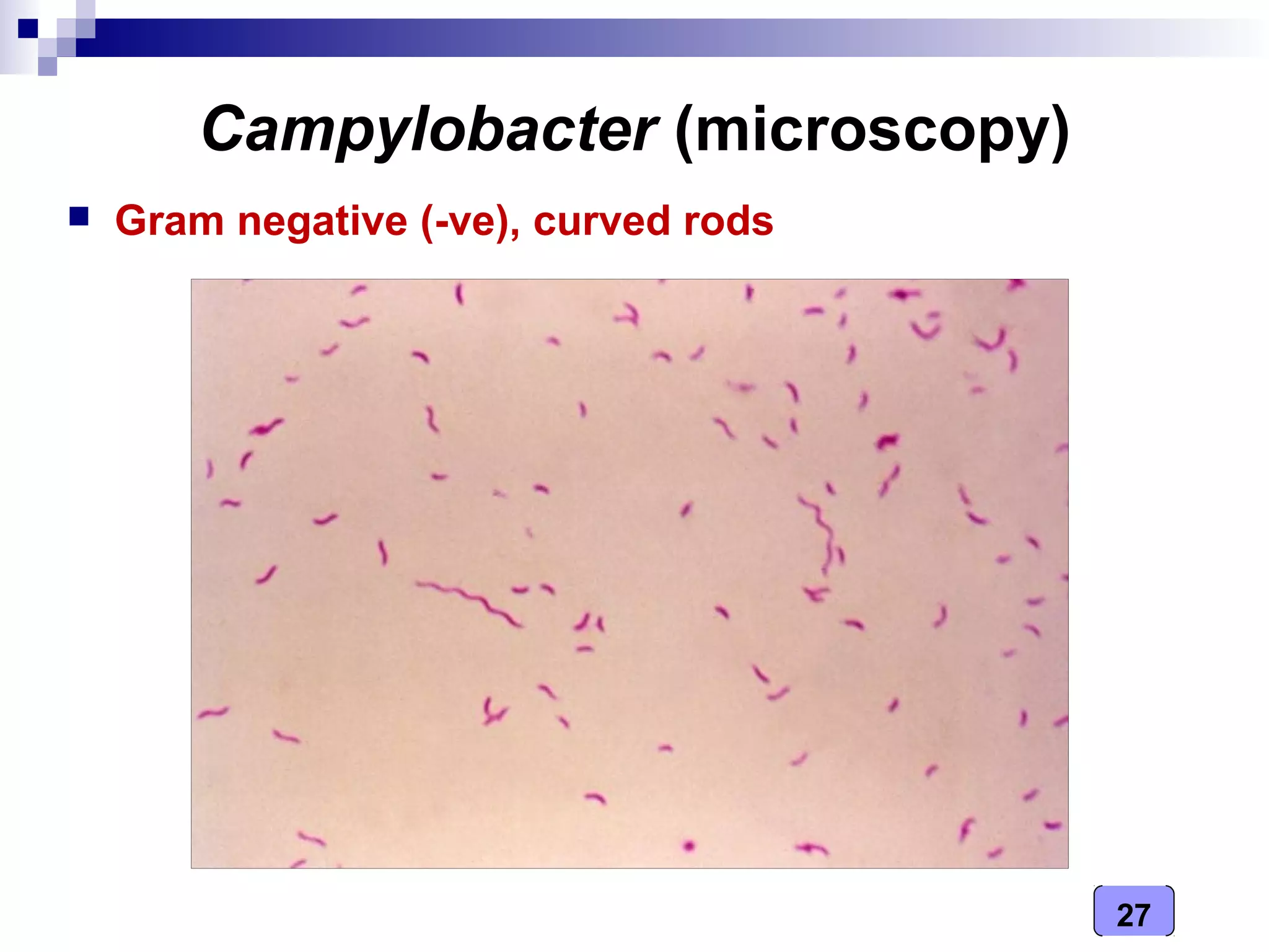Medical Microbiology Laboratory (Aeromonas, Helicobacter and ...