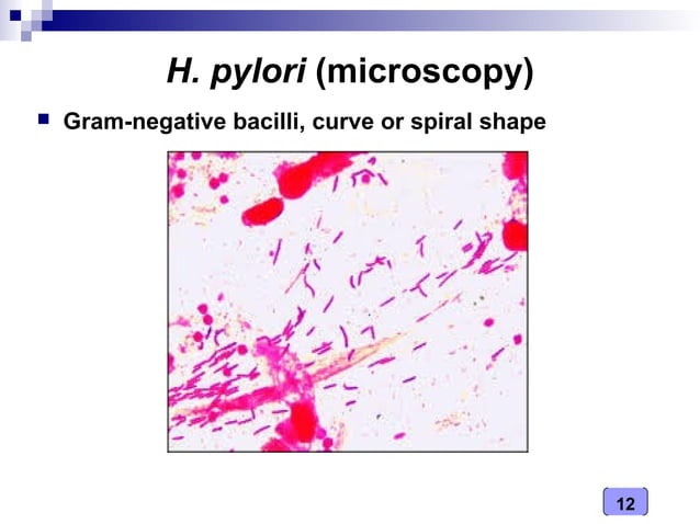 Medical Microbiology Laboratory (Aeromonas, Helicobacter and ...