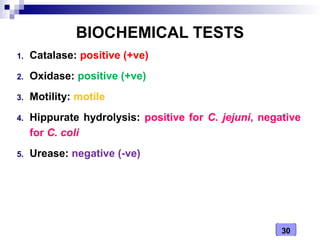 Medical Microbiology Laboratory (Aeromonas, Helicobacter and ...