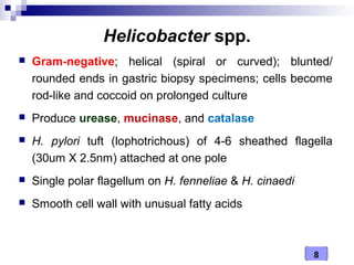 Medical Microbiology Laboratory (Aeromonas, Helicobacter and ...
