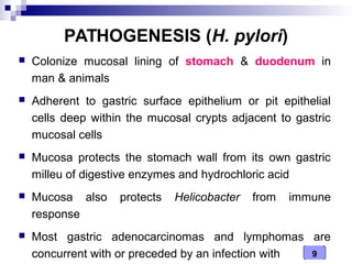 Medical Microbiology Laboratory (Aeromonas, Helicobacter and ...