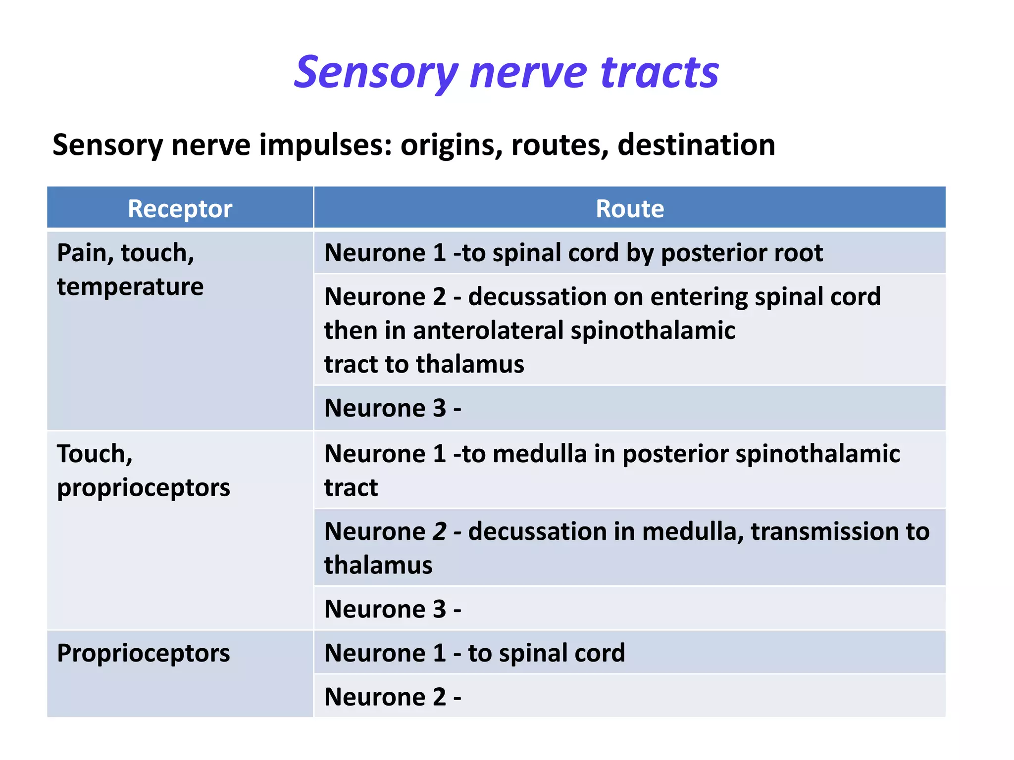 Sensory and motor pathways | PPTX