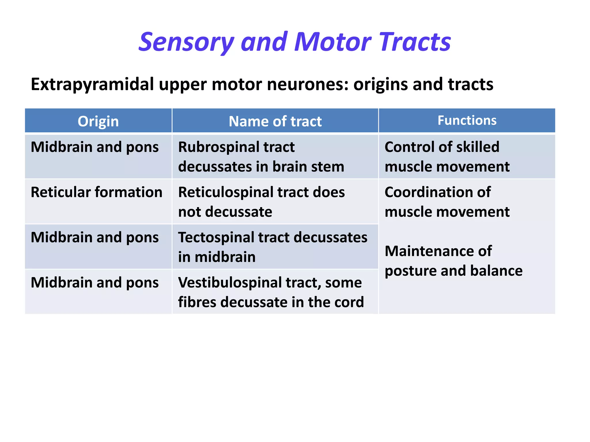 Sensory and motor pathways | PPTX