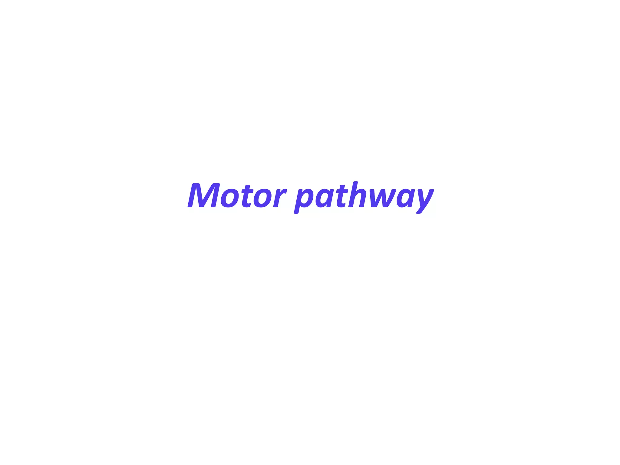 Sensory and motor pathways | PPTX