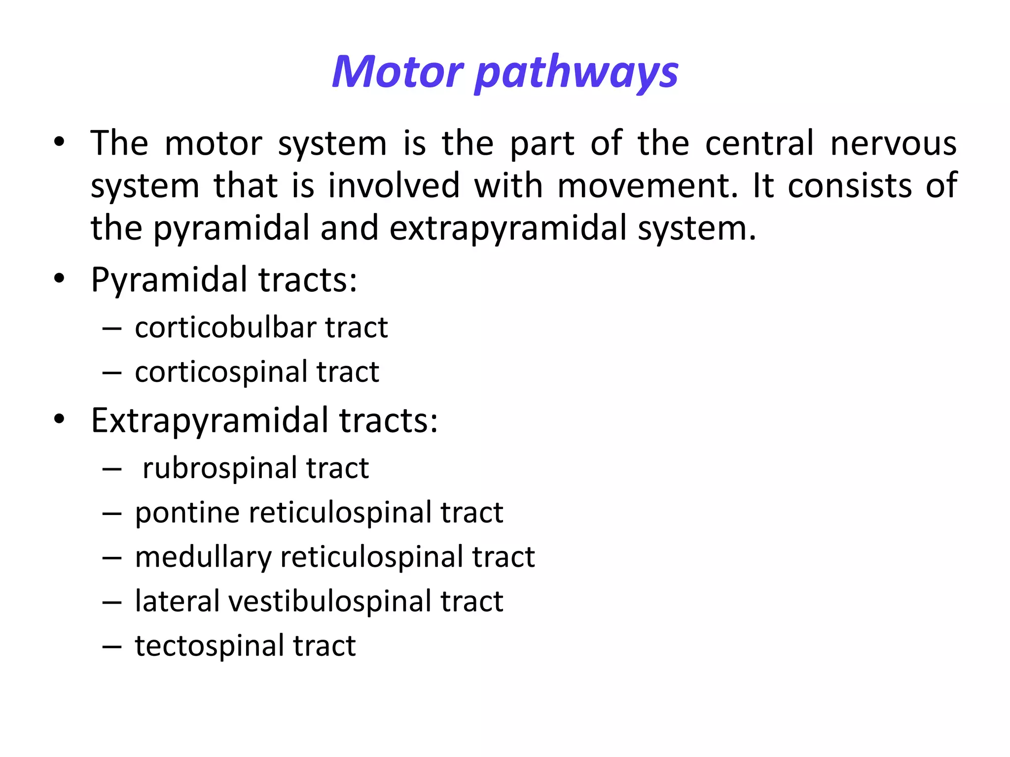Sensory and motor pathways | PPTX