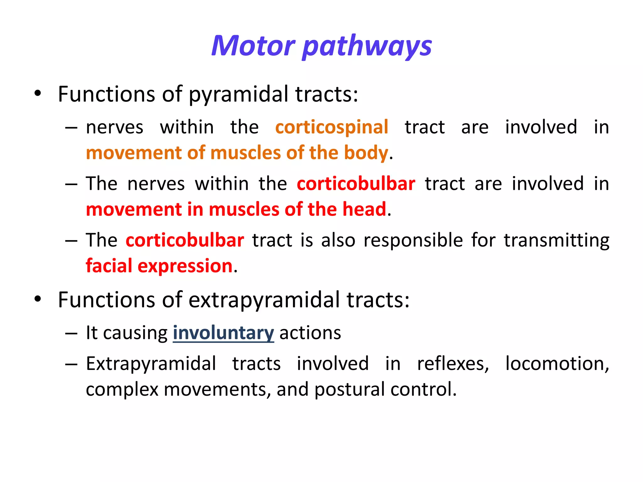 Sensory and motor pathways | PPTX